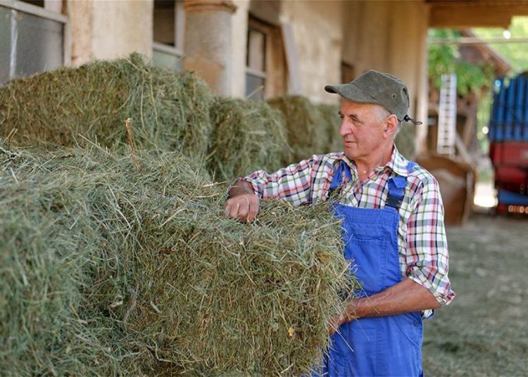 ΑΓΡΟΤΙΚΑ ΝΕΑ: Ειδήσεις σήμερα και νέα για τους αγρότες - Tilegrafimanews