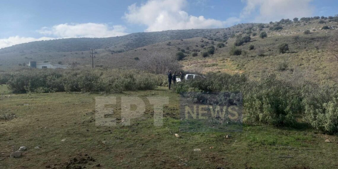 Πάστα Φλώρα - Tilegrafimanews- Χρηστικά και επίκαιρα