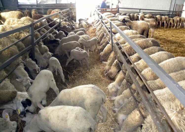 ΑΓΡΟΤΙΚΑ ΝΕΑ: Ειδήσεις σήμερα και νέα για τους αγρότες ...
